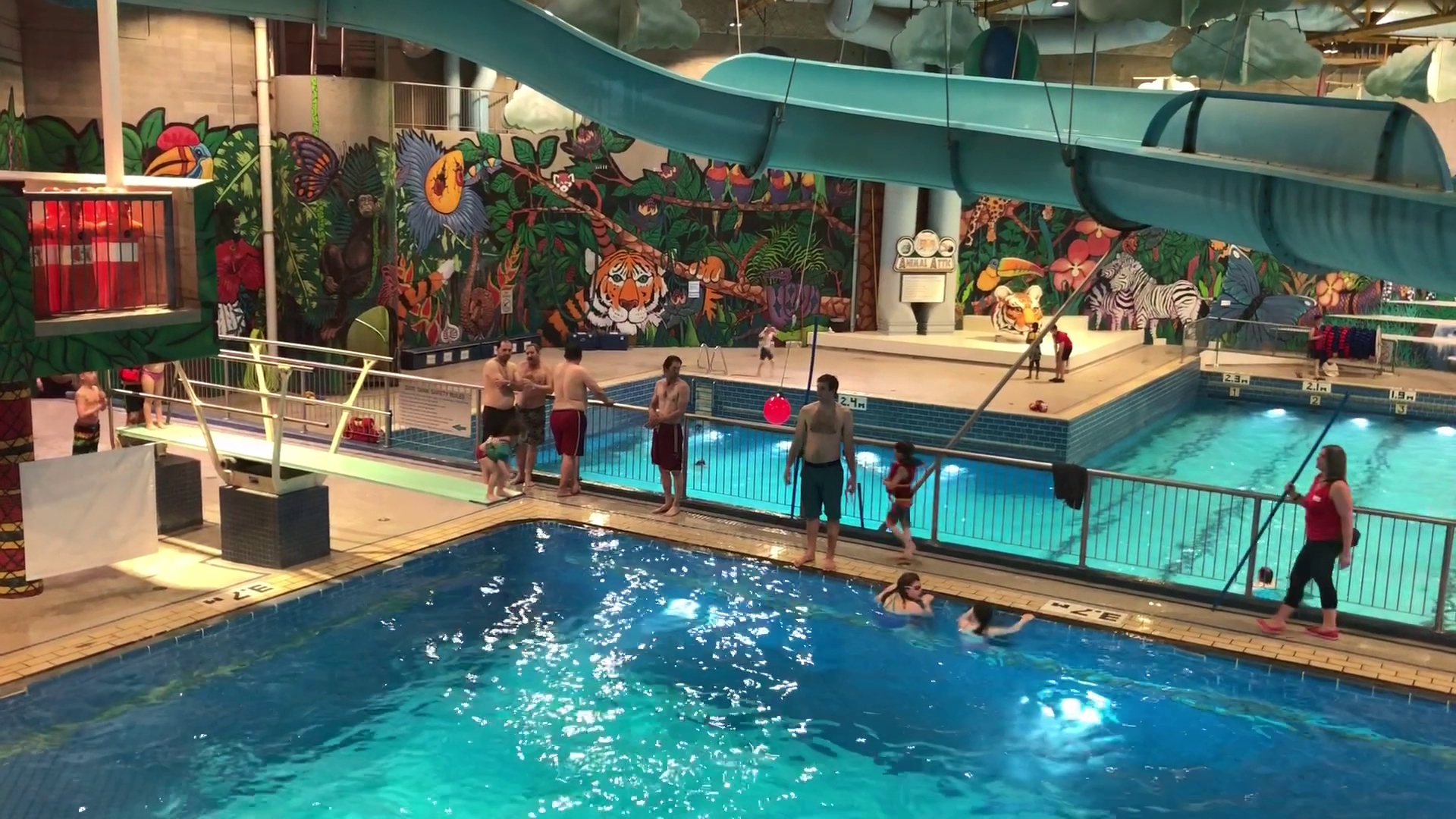 VILLAGE SQUARE LEISURE CENTRE - Calgary AB - Hours, Directions, Reviews ...