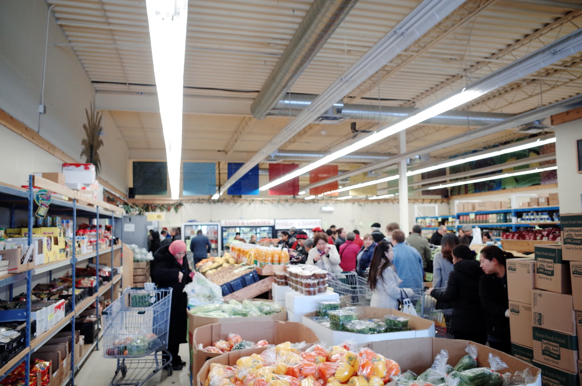 FREESTONE PRODUCE - Calgary AB - Hours, Directions, Reviews - Loc8NearMe