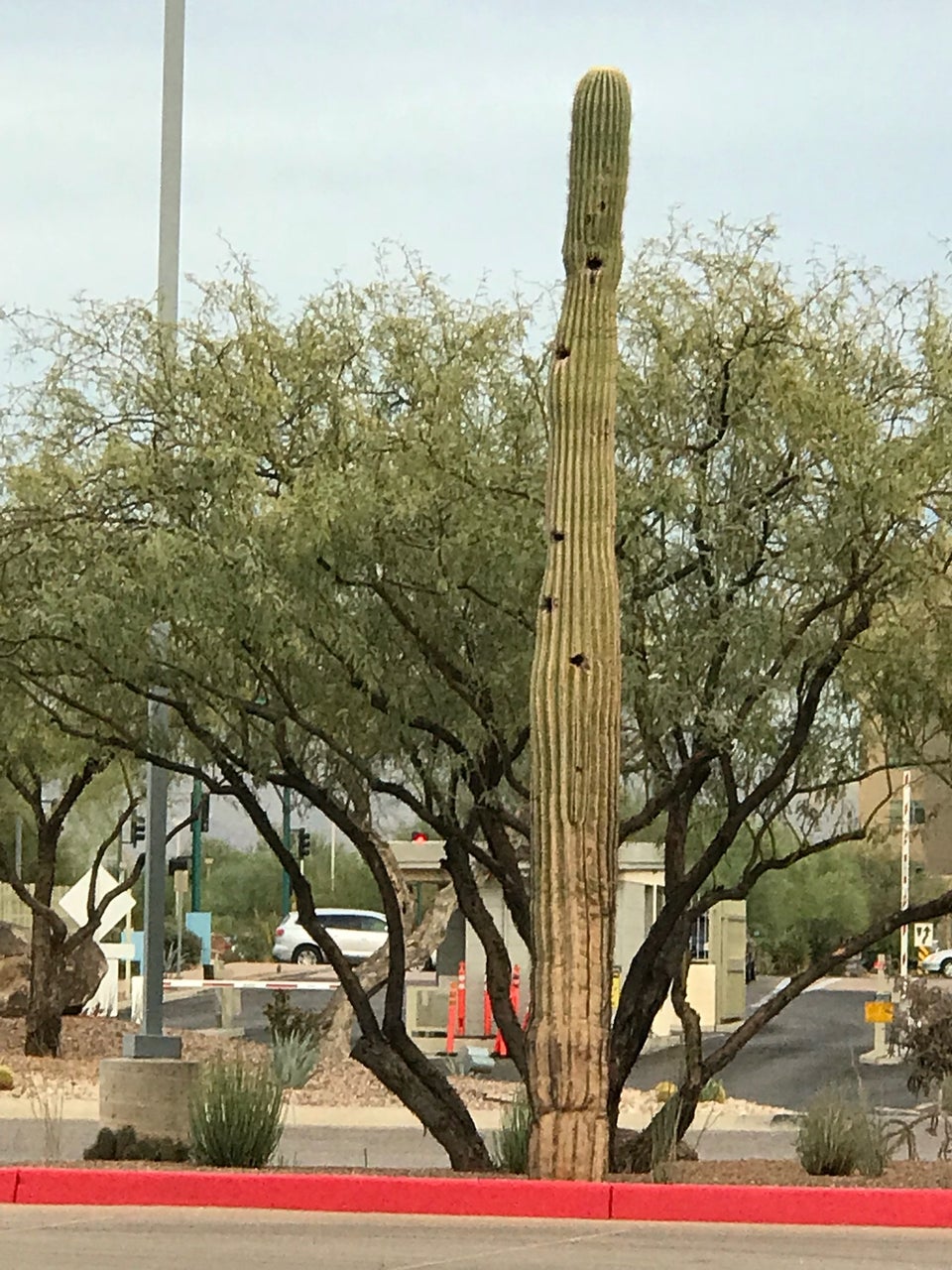 AMERICAN EXPRESS - 18850 N 56th St, Phoenix AZ - Hours, Directions ...