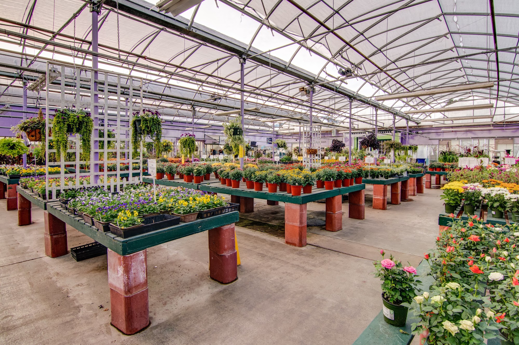 MINTER COUNTRY GARDEN - GARDEN CENTRE & FLORIST - Chilliwack BC - Hours ...