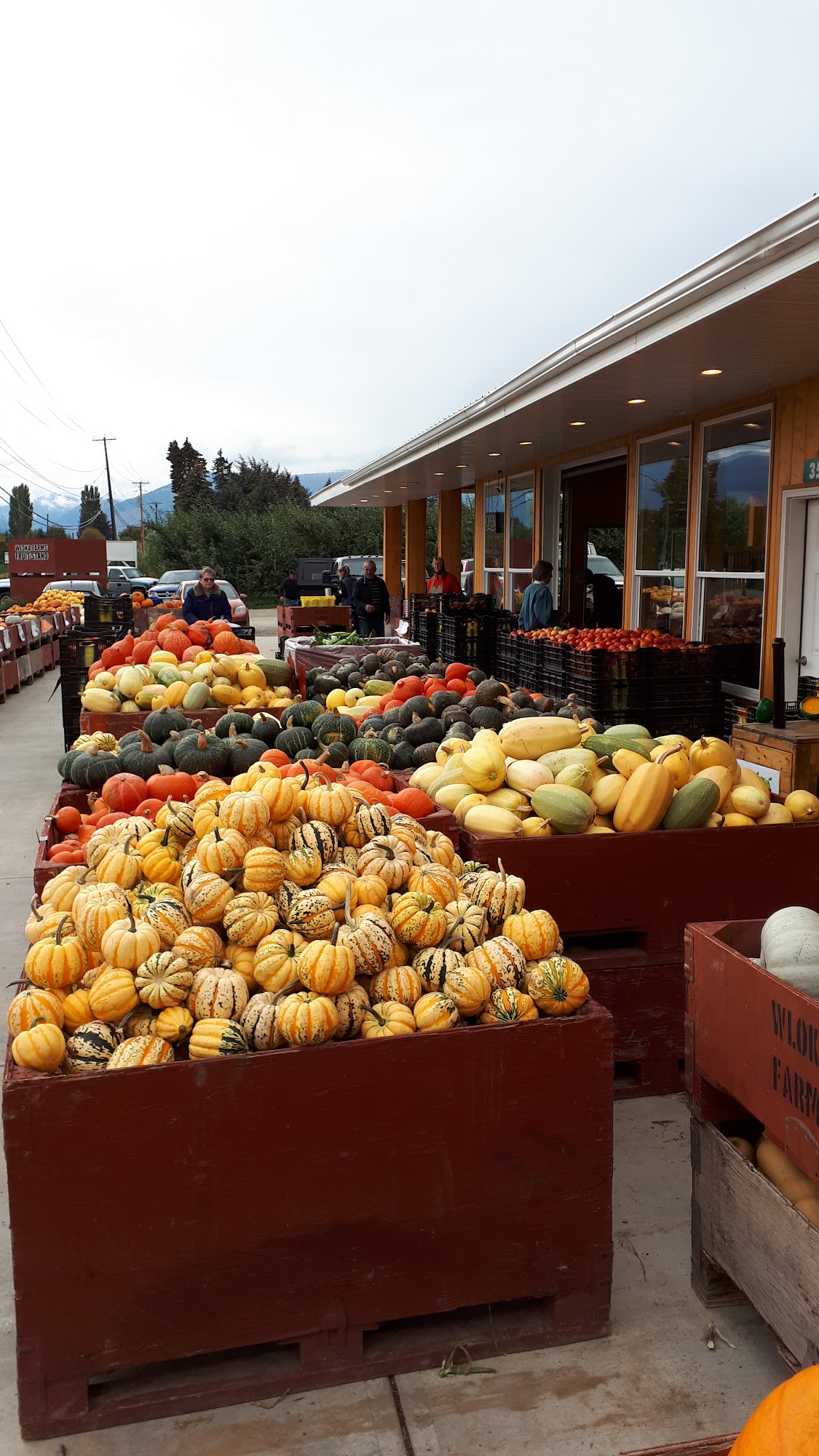 WLOKA FARMS FRUIT STAND - Creston BC - Hours, Directions, Reviews ...