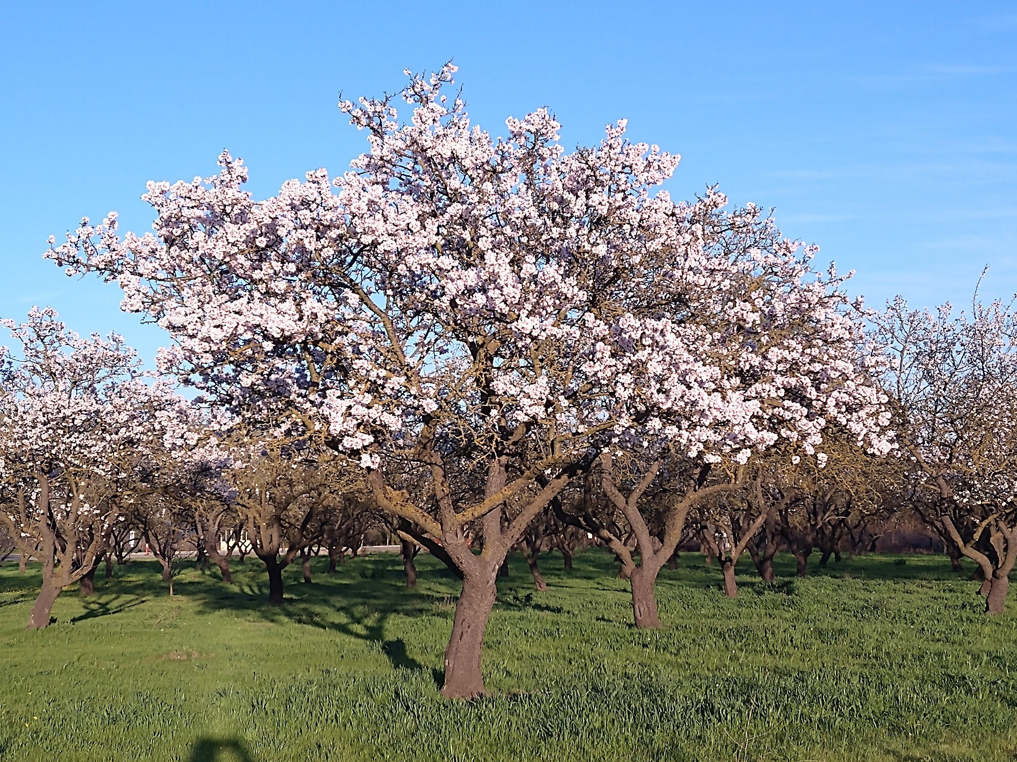 IBM SILICON VALLEY LAB - San Jose CA - Hours, Directions, Reviews ...