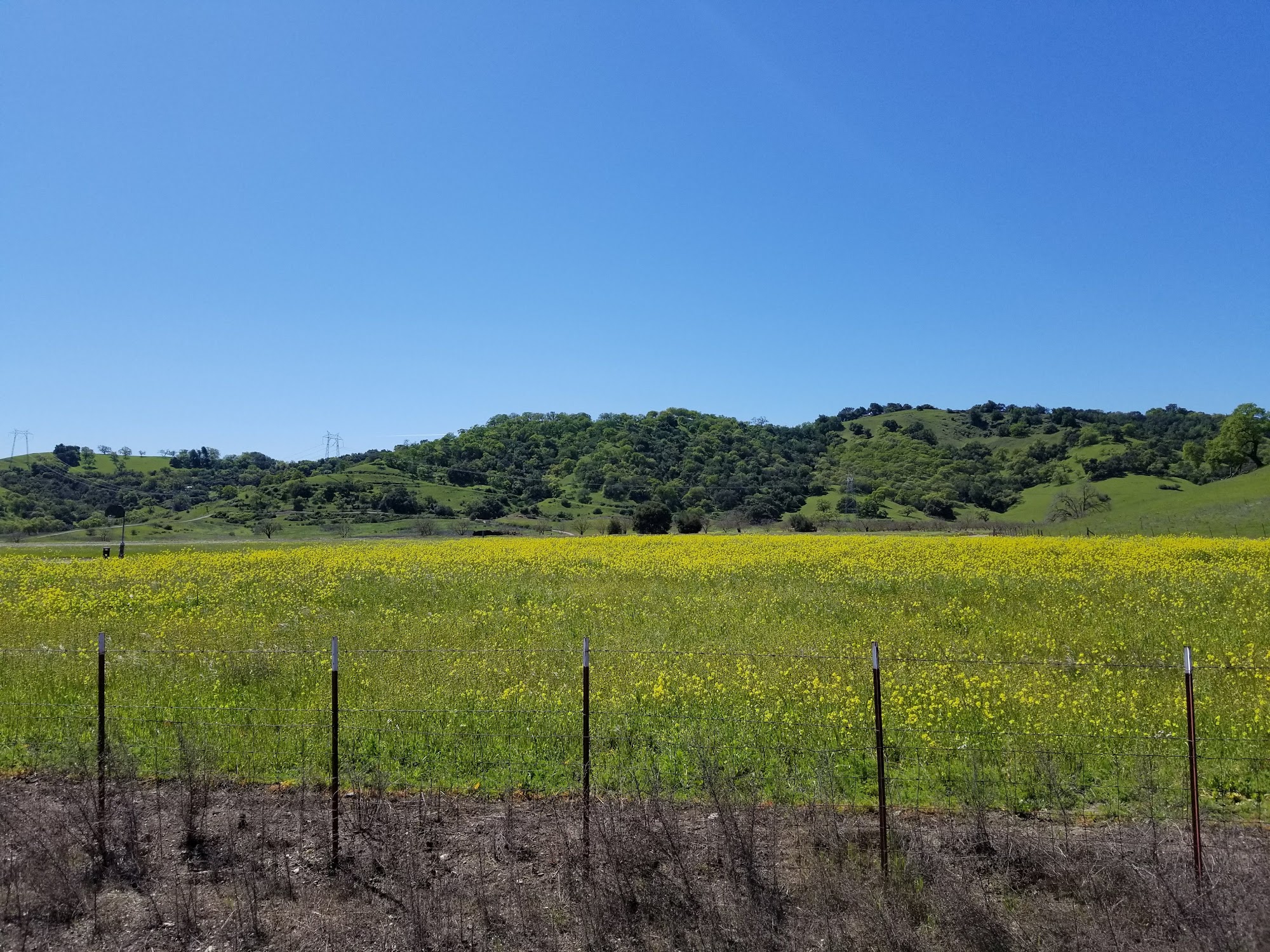 IBM SILICON VALLEY LAB - San Jose CA - Hours, Directions, Reviews ...