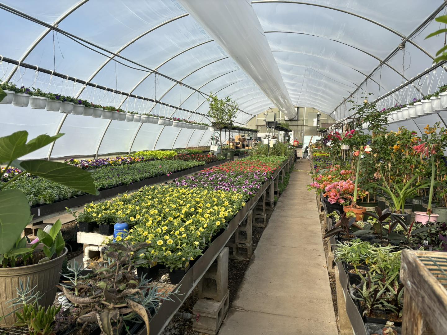 Jordan's Nursery, Cedar Falls, IA - Reviews (21), Photos (11 ...