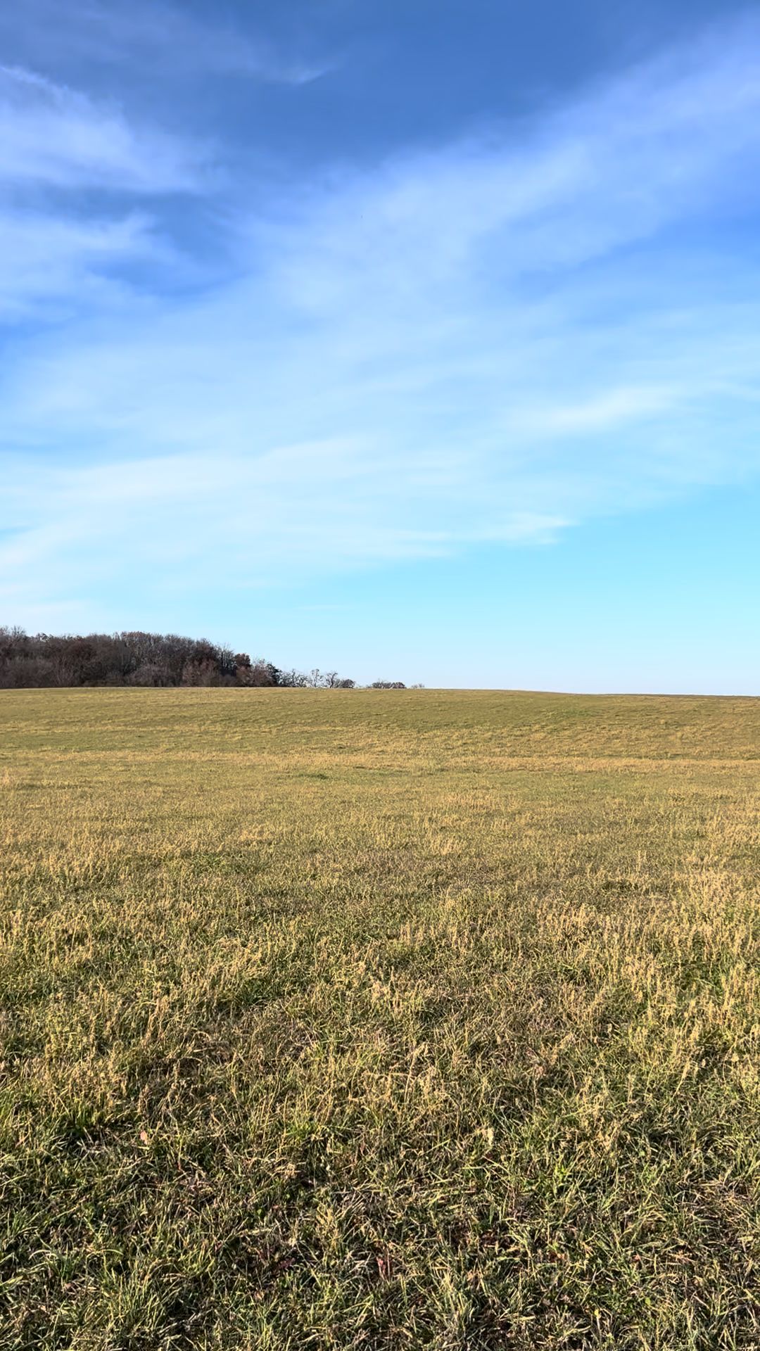 BURLINGTON PRAIRIE FOREST PRESERVE - Sycamore IL - Hours, Directions ...