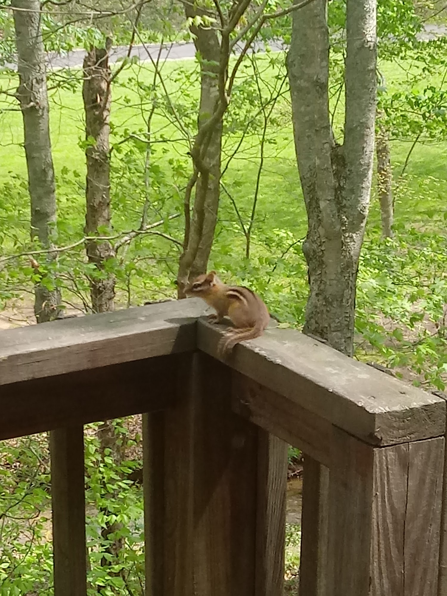 BOYD COUNTY PUBLIC LIBRARY - Ashland KY - Hours, Directions, Reviews ...