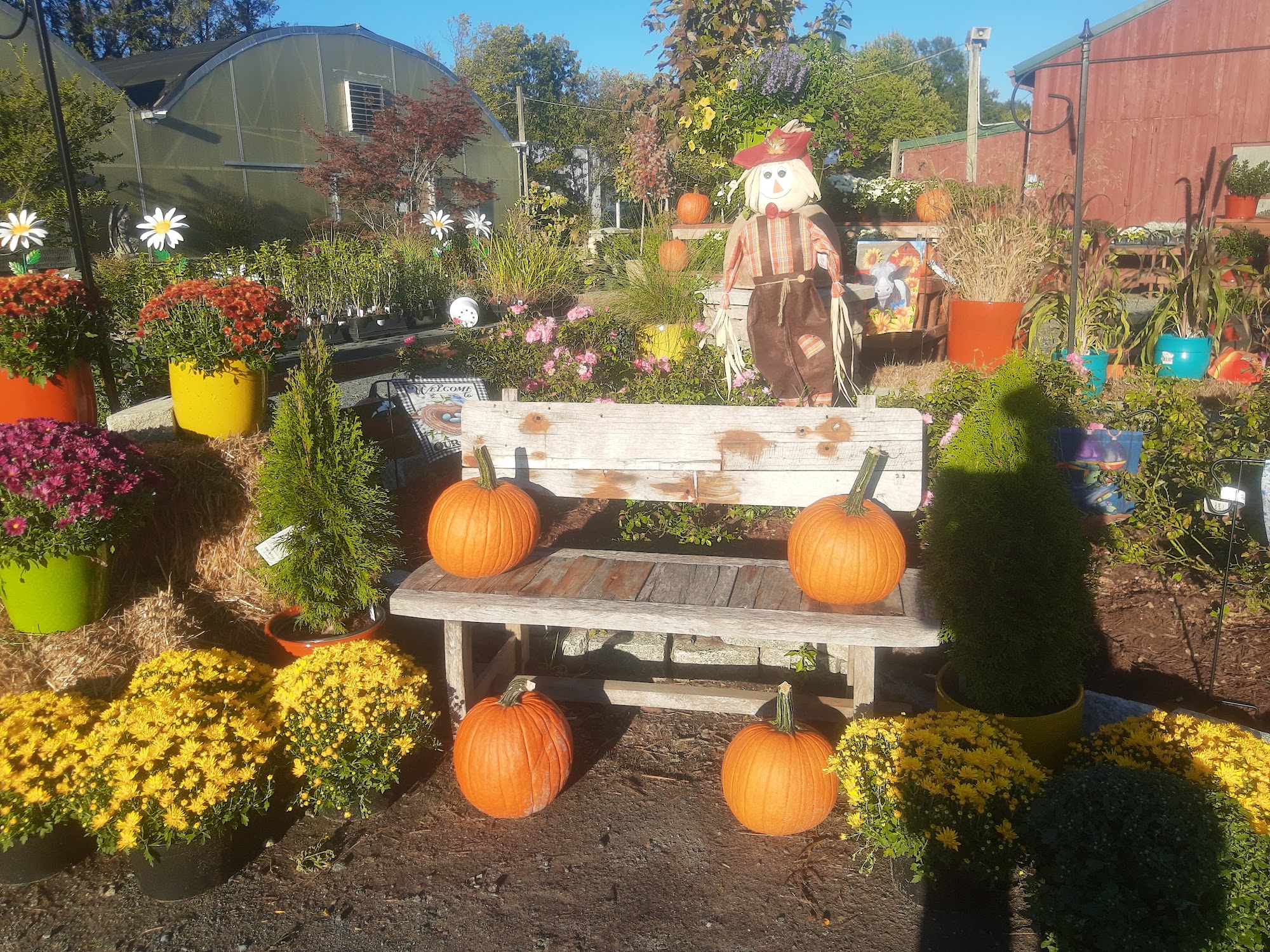 Robin S Nest Floral Garden Center Easton Md Hours Directions