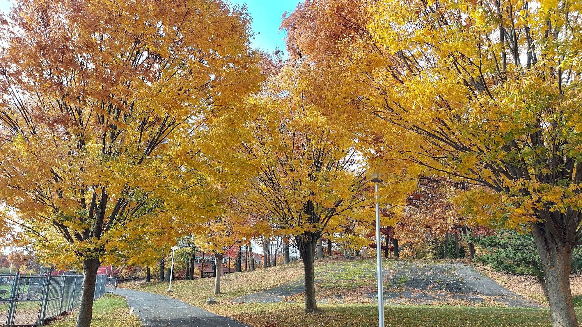 MIDDLESEX COLLEGE - Edison NJ - Hours, Directions, Reviews - Loc8NearMe