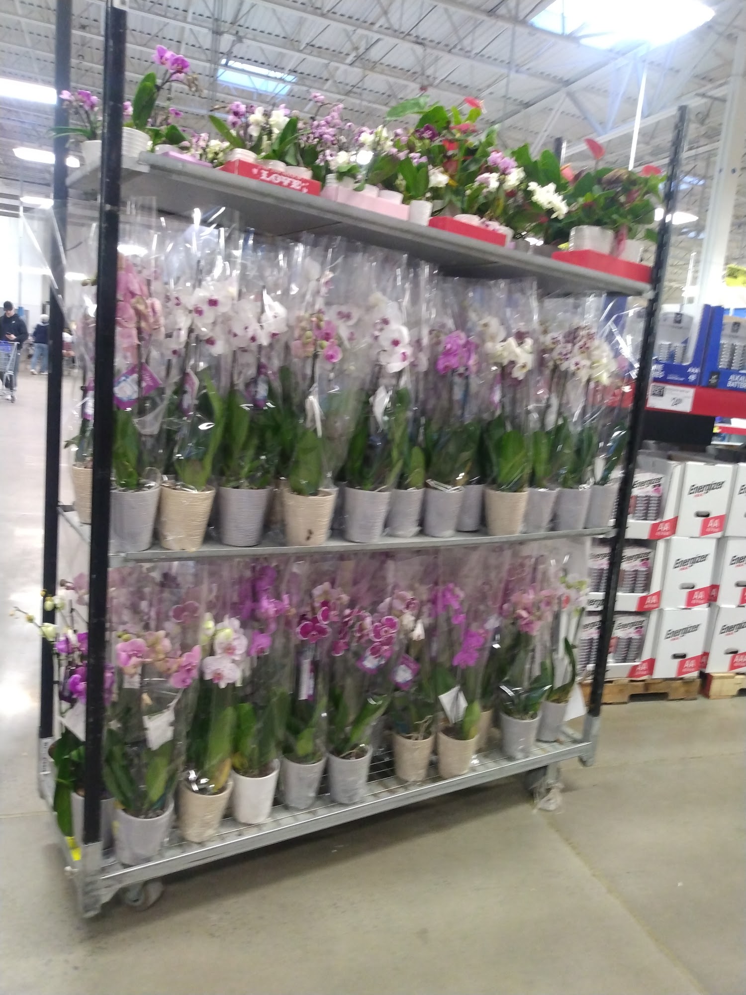 SAM'S CLUB - 7 Consumer Square, Plattsburgh NY - Hours, Directions ...