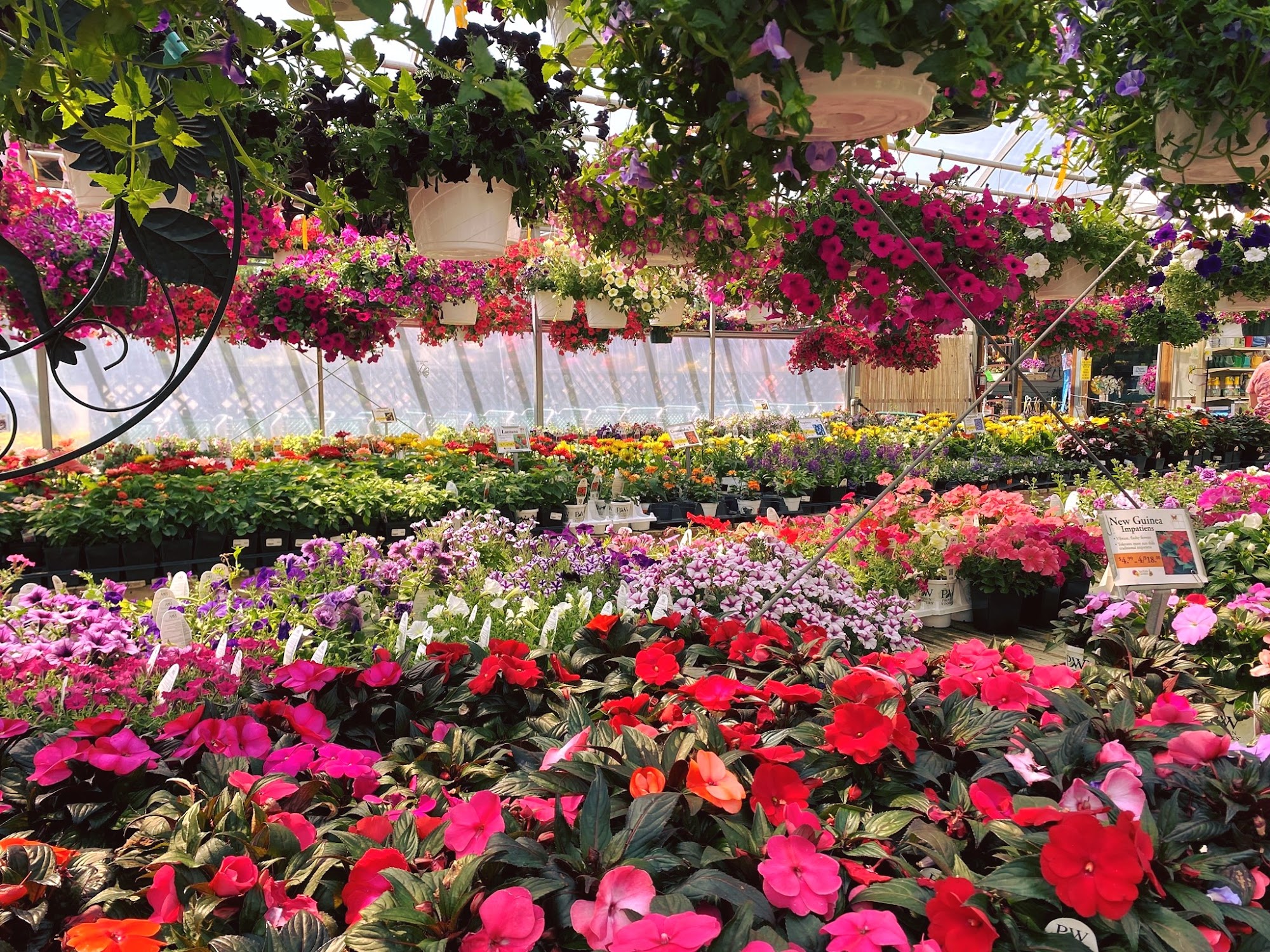 VAN PUTTE GARDENS - Rochester NY - Hours, Directions, Reviews - Loc8NearMe