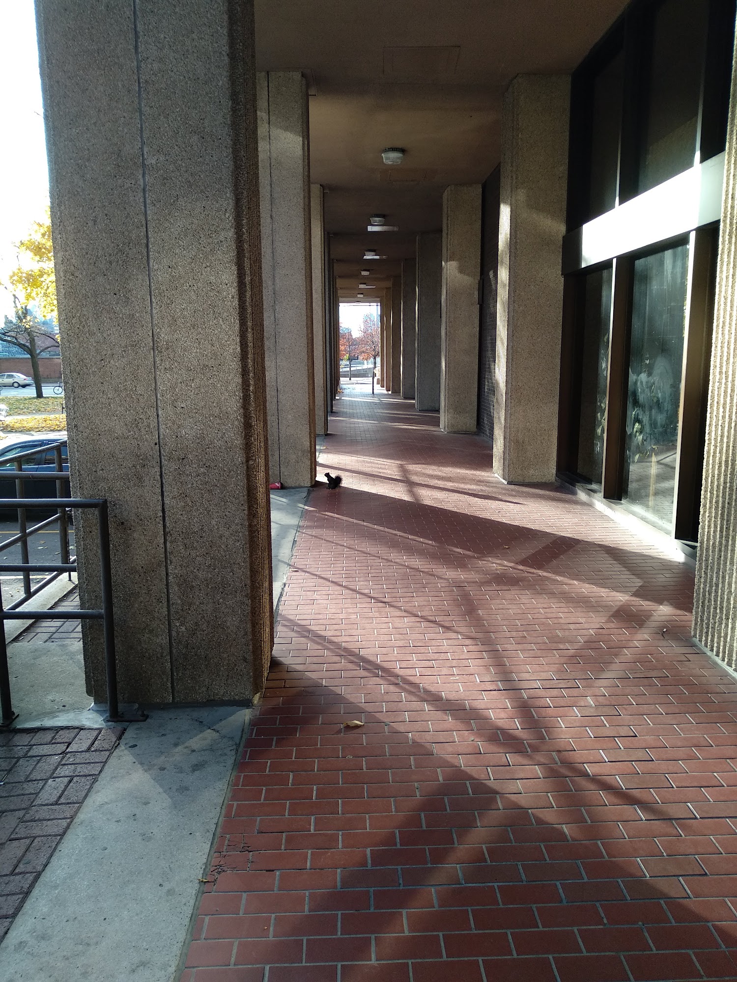 OISE LIBRARY - Toronto ON - Hours, Directions, Reviews - Loc8NearMe