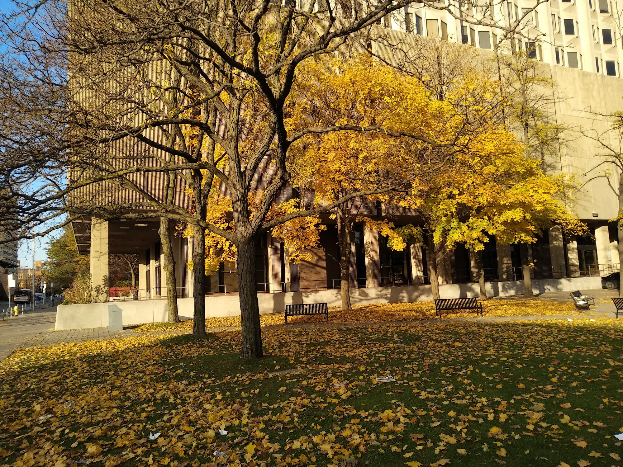 OISE LIBRARY - Toronto ON - Hours, Directions, Reviews - Loc8NearMe