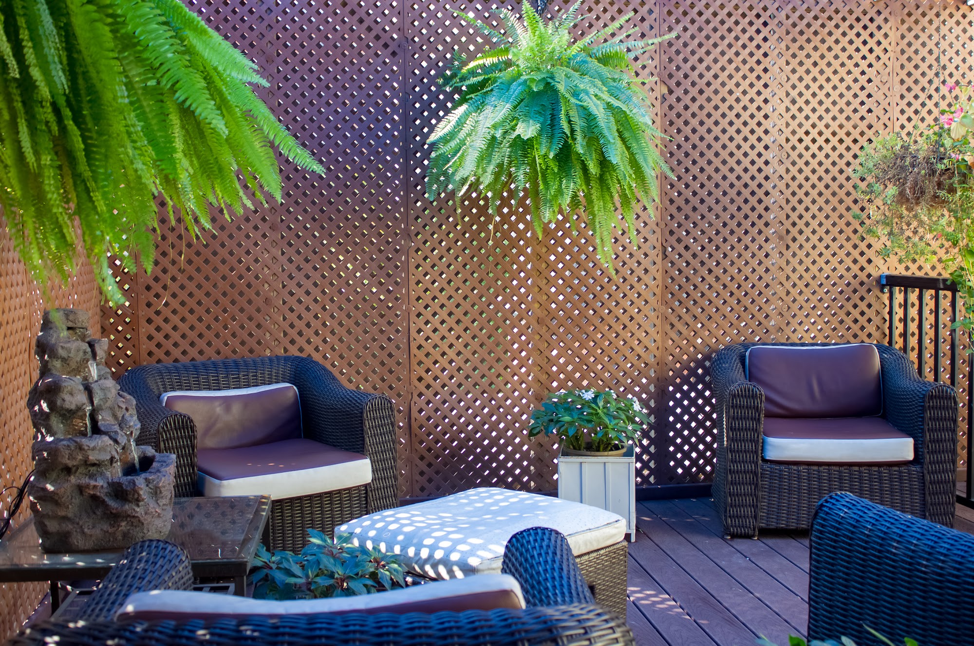 SPA EXCESS - Toronto ON - Hours, Directions, Reviews - Loc8NearMe