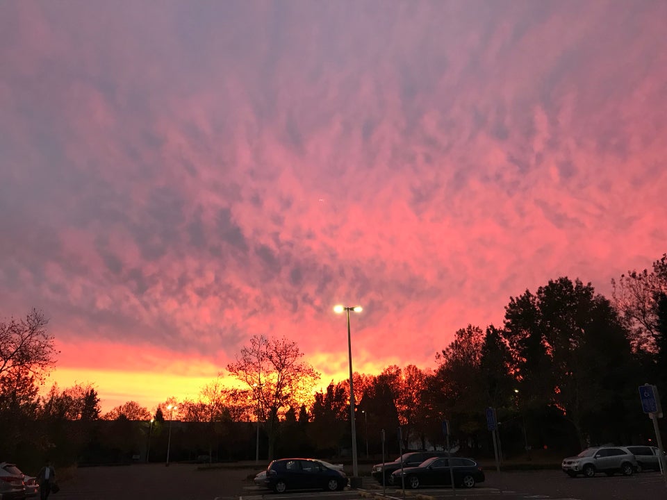 INTEL JONES FARM CAMPUS - Hillsboro OR - Hours, Directions, Reviews ...