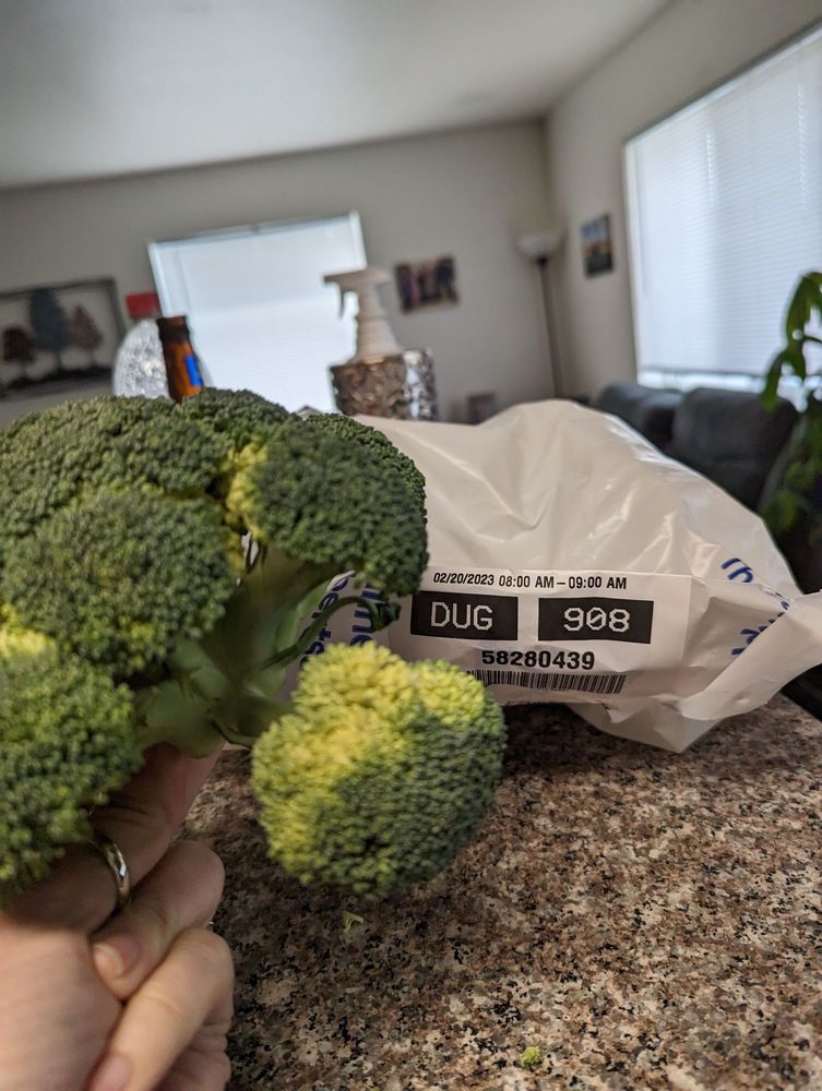 SAFEWAY - 1891 Pioneer Pkwy E, Springfield OR - Hours, Directions ...