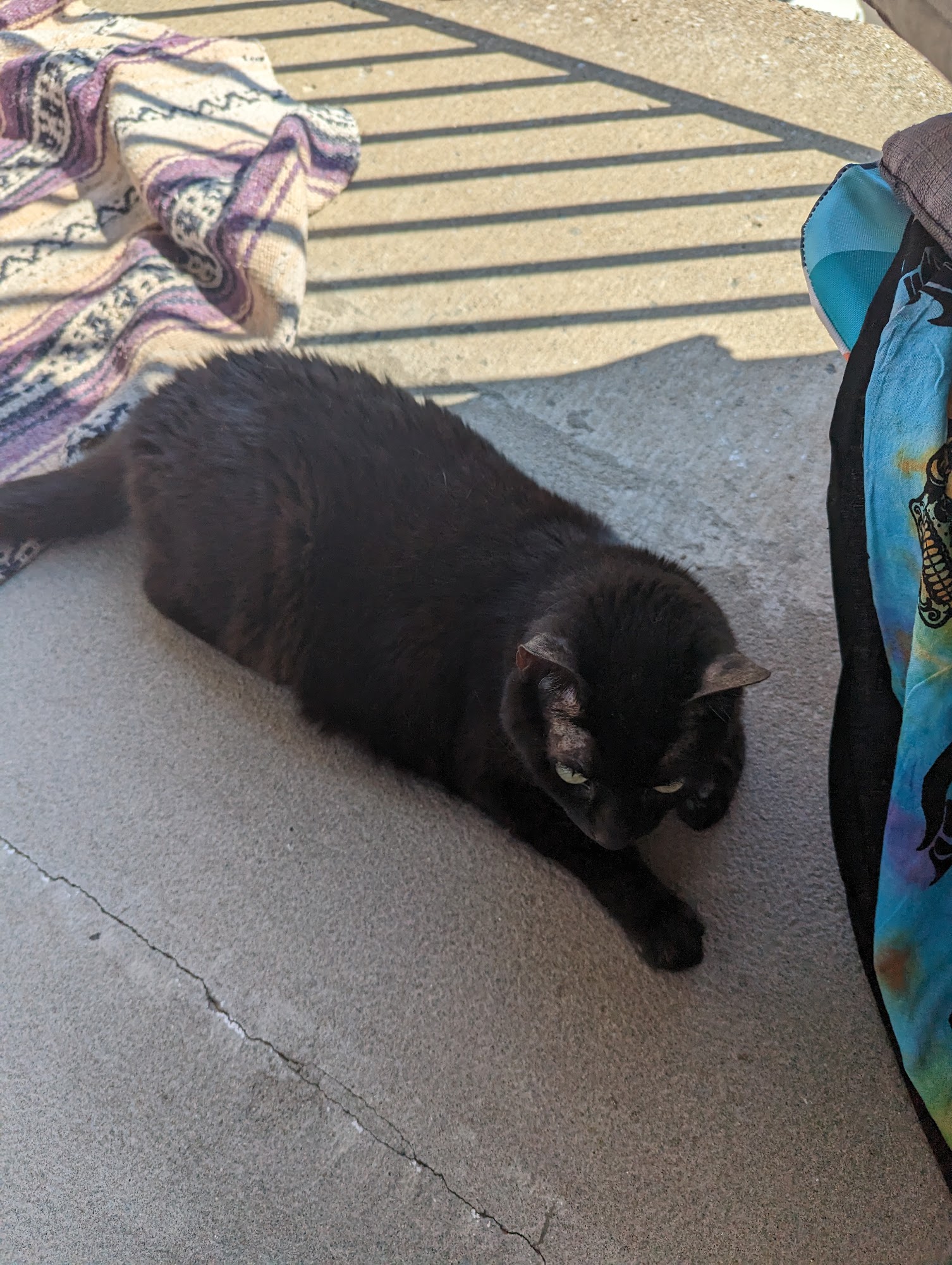 PROANIMA - Boucherville QC - Hours, Directions, Reviews - Loc8NearMe