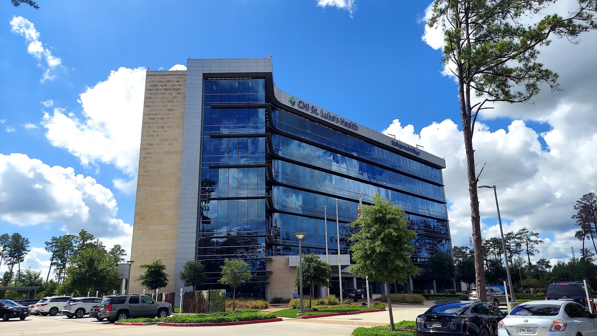 ST. LUKE'S HEALTH - SPRINGWOODS VILLAGE HOSPITAL - SPRING, TX - Spring ...