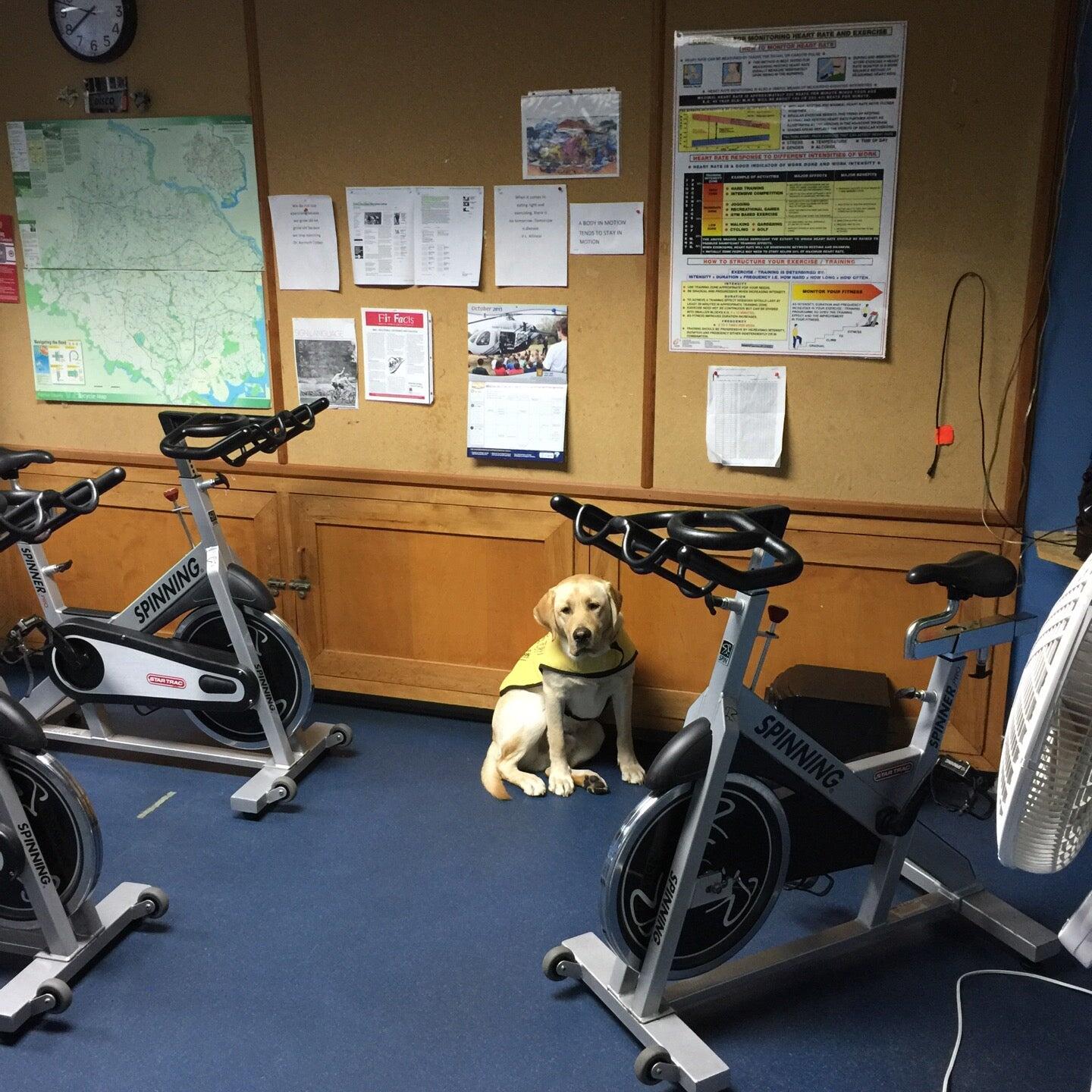 SOUTH RUN REC CENTER - Springfield VA - Hours, Directions, Reviews ...