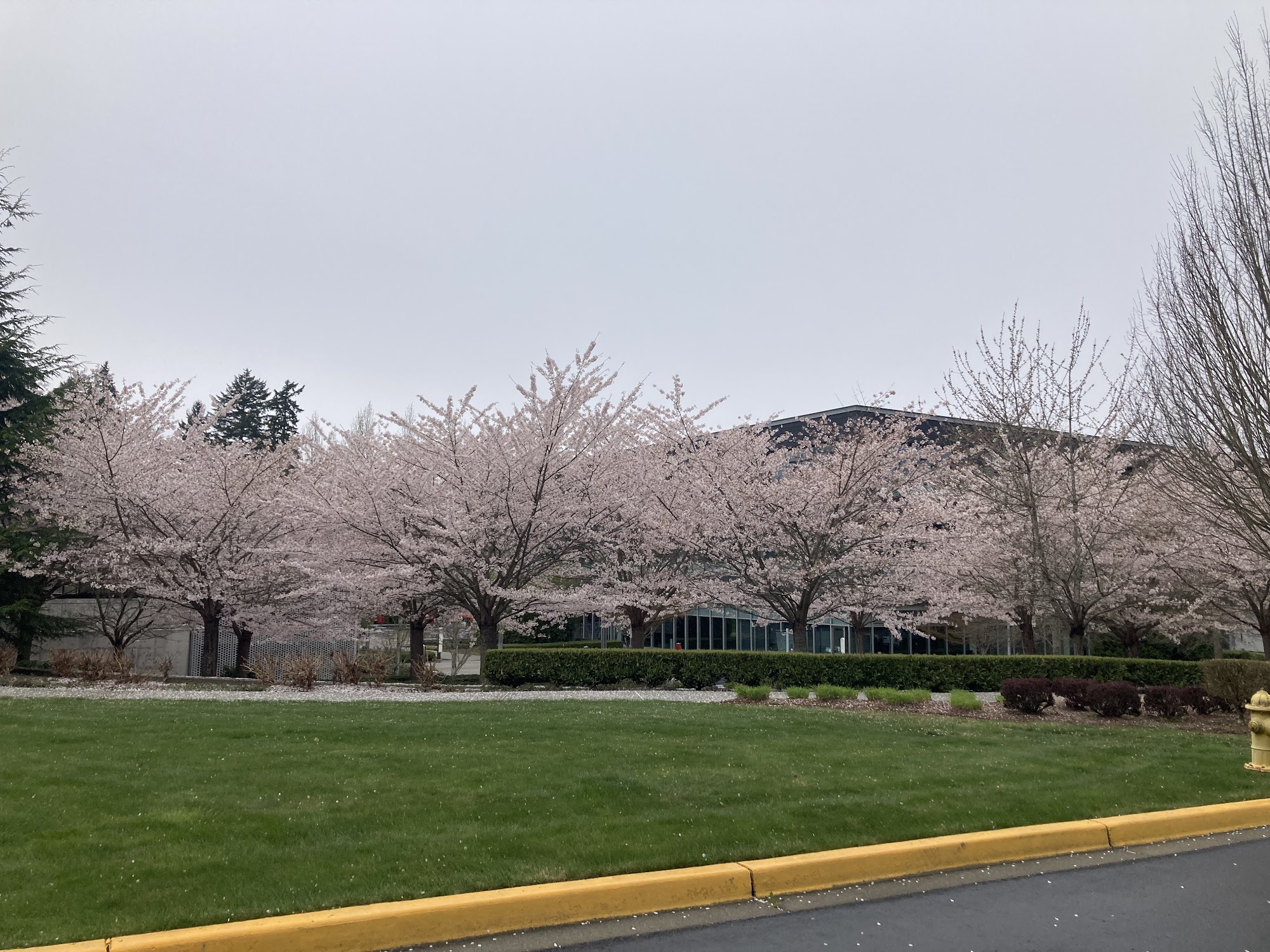 NINTENDO OF AMERICA - 4600 BUILDING - Redmond WA - Hours, Directions ...