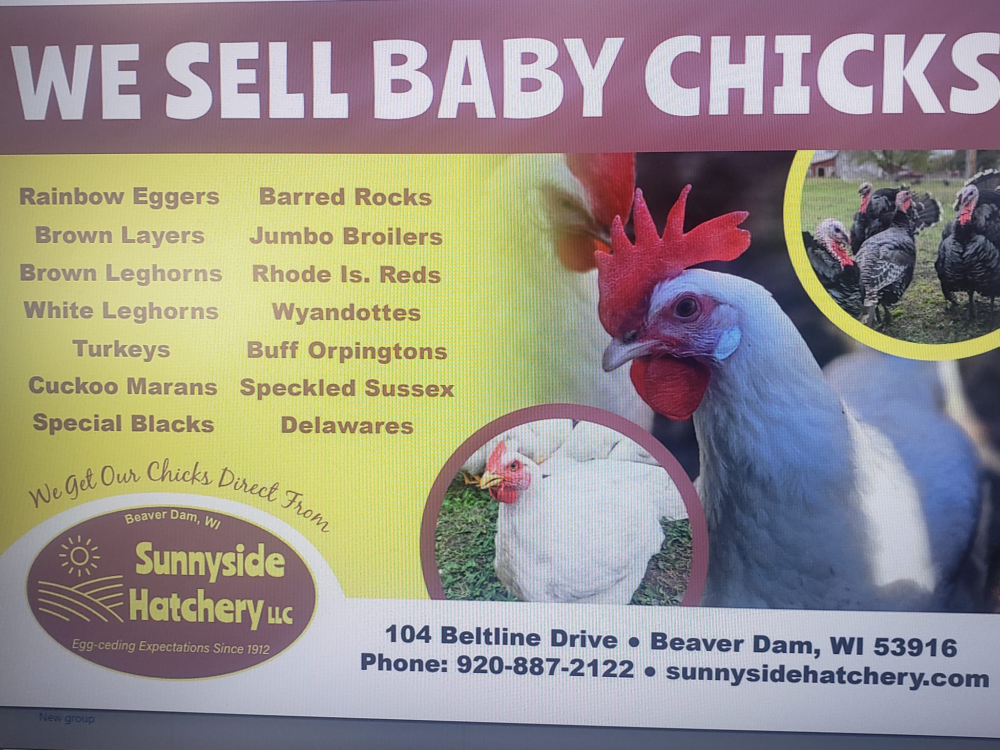 SUNNYSIDE HATCHERY - Beaver Dam WI - Hours, Directions, Reviews ...