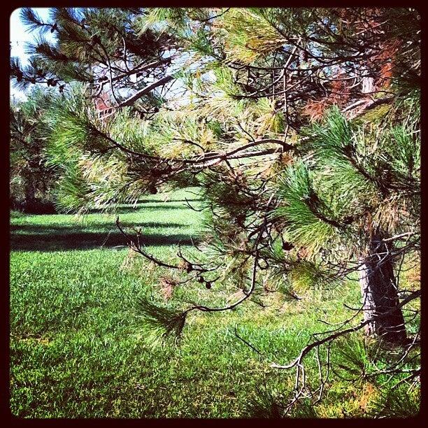 MENARDS - 2851 Milwaukee Rd, Beloit WI - Hours, Directions, Reviews ...