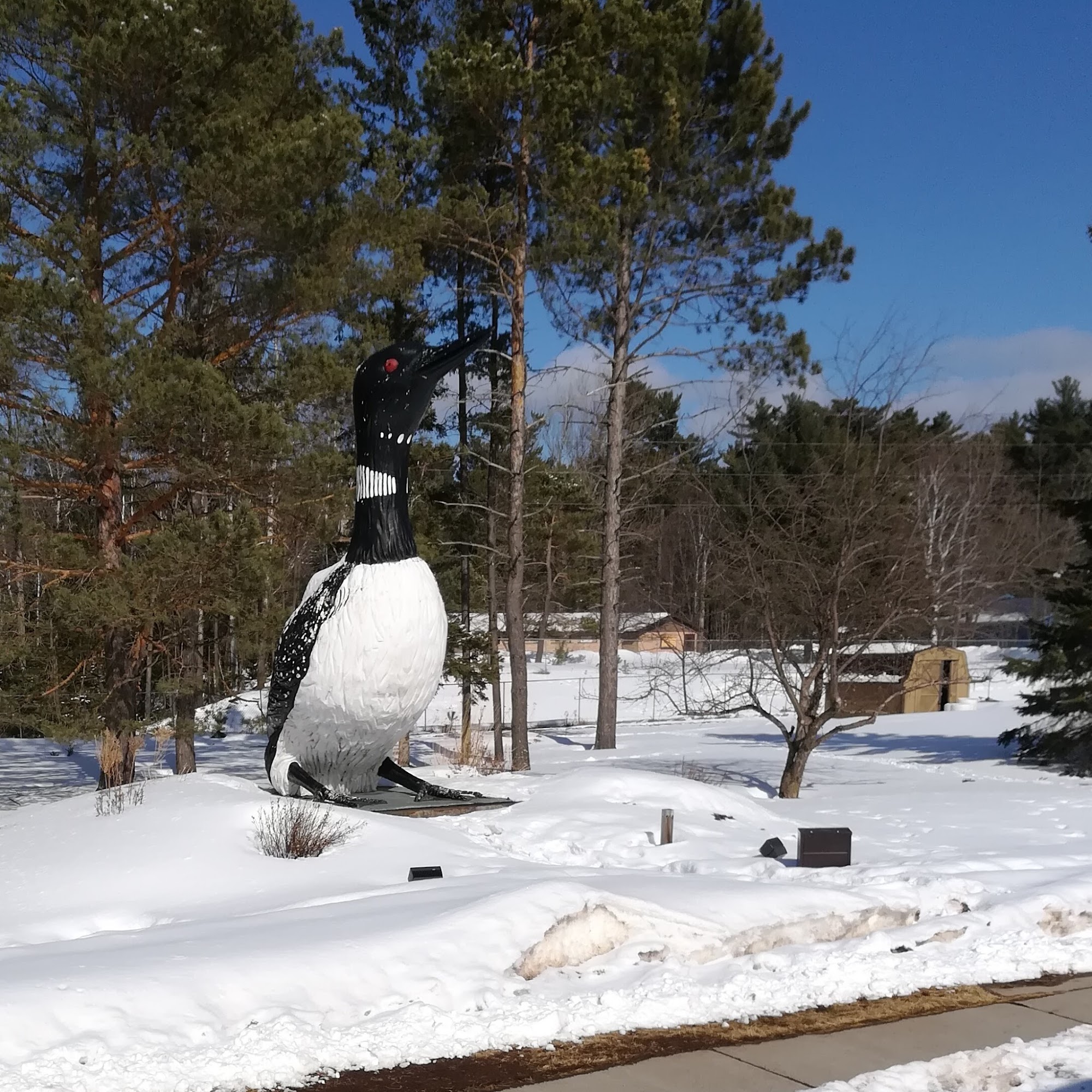 MERCER CHAMBER OF COMMERCE - Mercer WI - Hours, Directions, Reviews ...